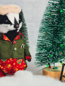 Katerina Katorgina - Artist Bears and Handmade Bears