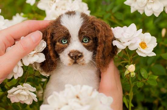 English Springer Spaniel Felted Miniature by Yana Fedorova - Bear Pile
