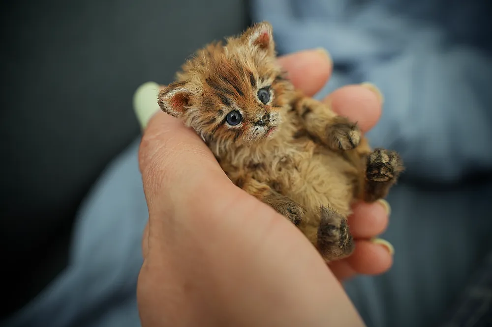 Mosya by Galina Morozova - Bear Pile