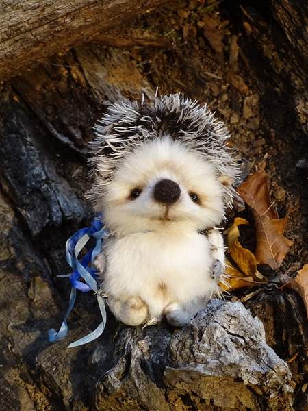 Happy Boy by Svetlana Bordner - Bear Pile