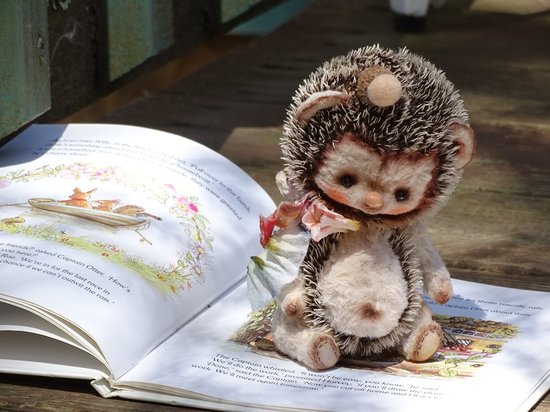 Hedgehog Ghek by Svetlana Bordner - Bear Pile