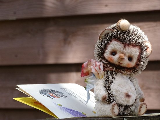 Hedgehog Ghek by Svetlana Bordner - Bear Pile