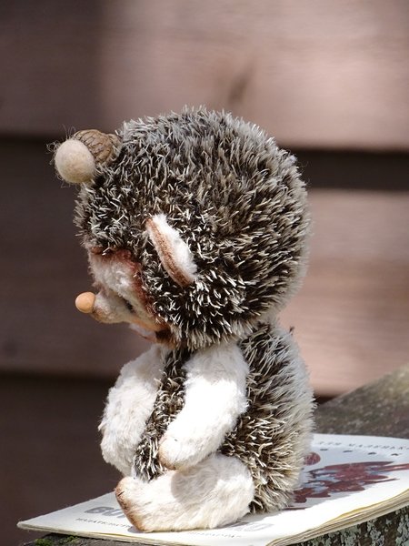 Hedgehog Ghek by Svetlana Bordner - Bear Pile