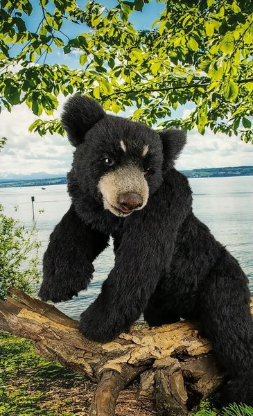 Mihalich by Elena Makeenkova - Bear Pile