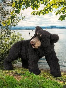 Mihalich by Elena Makeenkova - Bear Pile