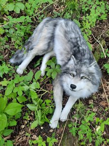 Harry chimpanzee by Bogacheva Olga - Bear Pile