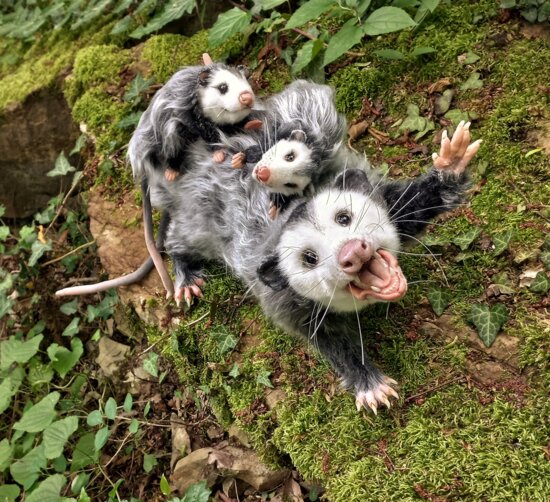 possum family by Bogacheva Olga - Bear Pile