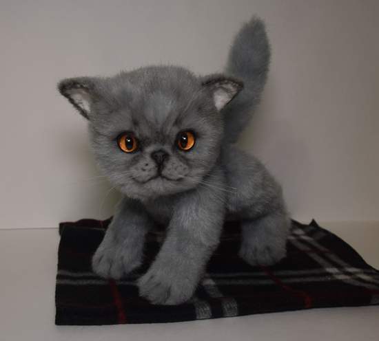 Cat Mandarin by GRISHINA TATYANA - Bear Pile