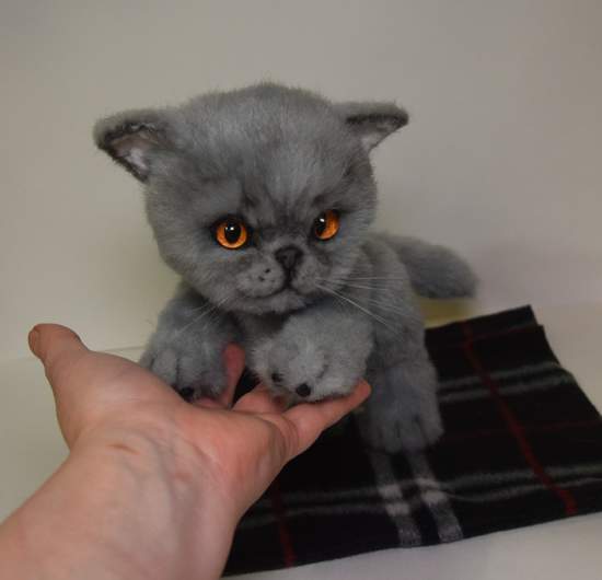 Cat Mandarin by GRISHINA TATYANA - Bear Pile