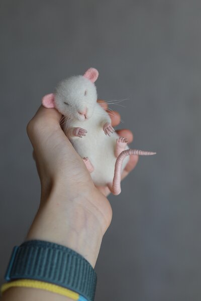 Sleeping baby rat by Anastasia Babenko - Bear Pile