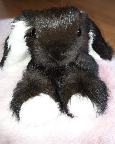 CoCo by Sherry Fuller - Bear Pile