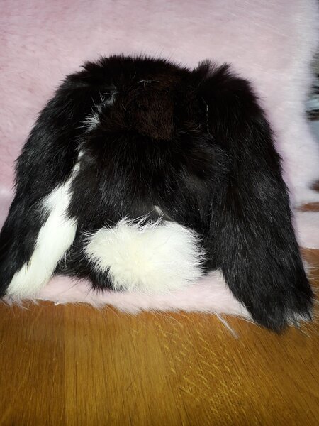 CoCo by Sherry Fuller - Bear Pile