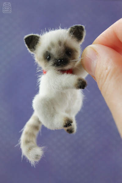 Kitten Musha by Marina Blakytna - Bear Pile