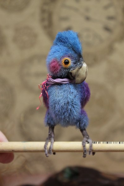 Miniature Parrot Ruby by Marina Blakytna - Bear Pile
