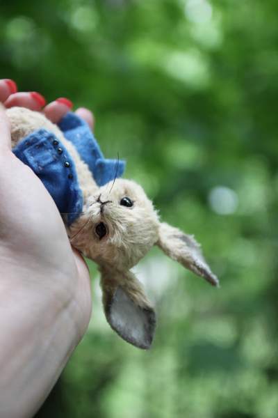 Peter Rabbit by Lena Beloborodova - Bear Pile