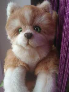 Karakal kitten by Svetlana Ageeva - Bear Pile