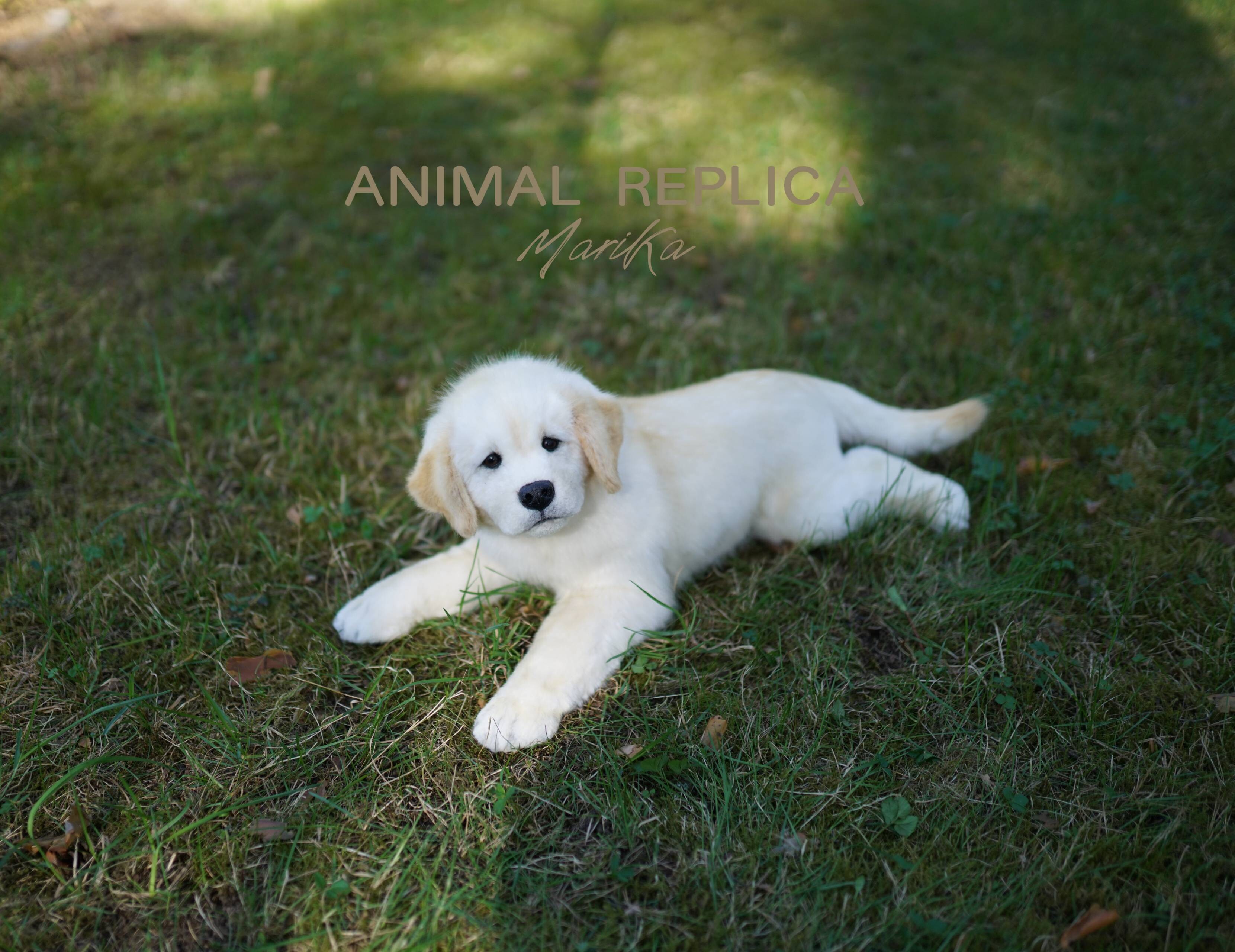 Labrador puppy by Maria Kalinina - Bear Pile