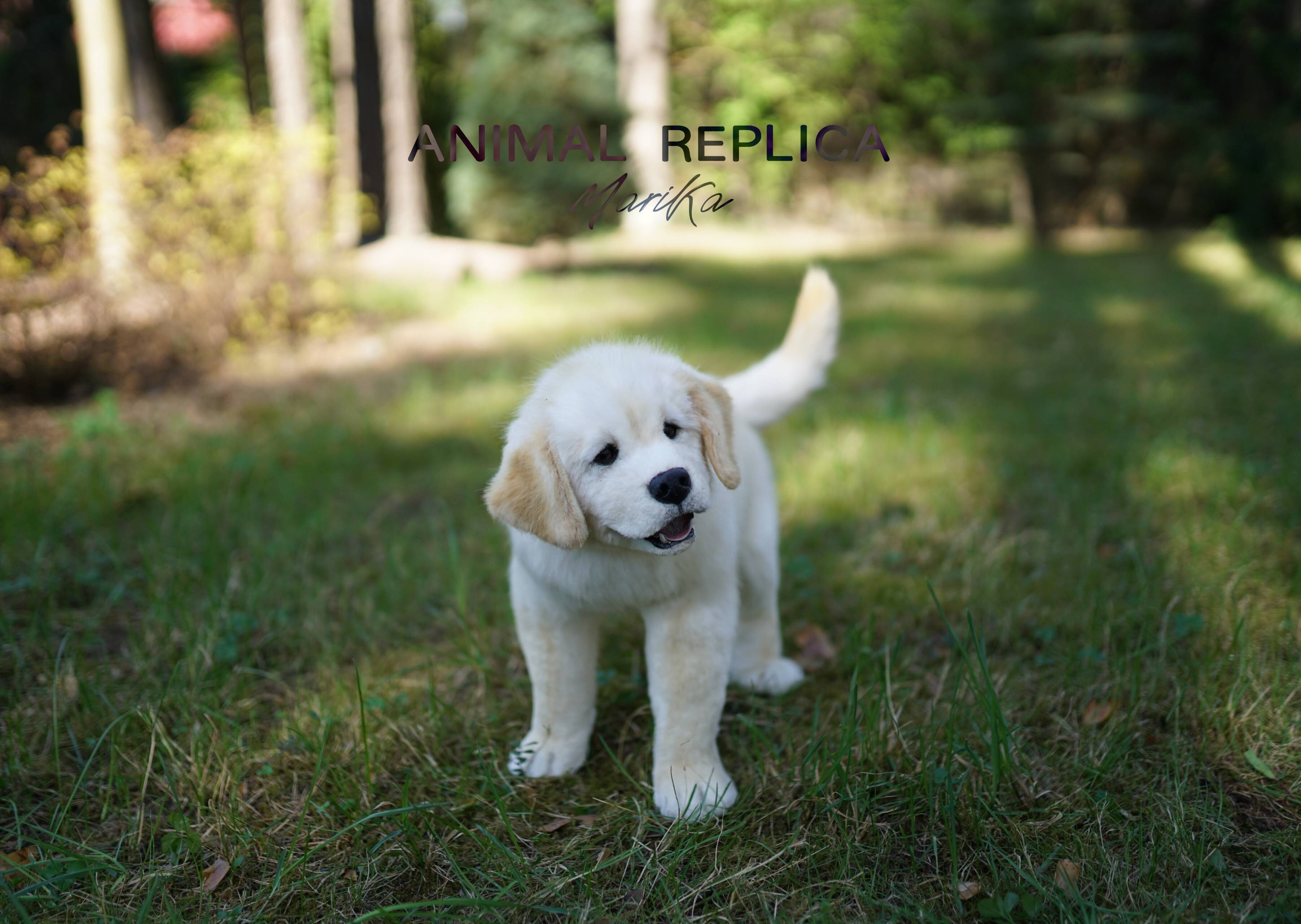 Labrador puppy by Maria Kalinina - Bear Pile