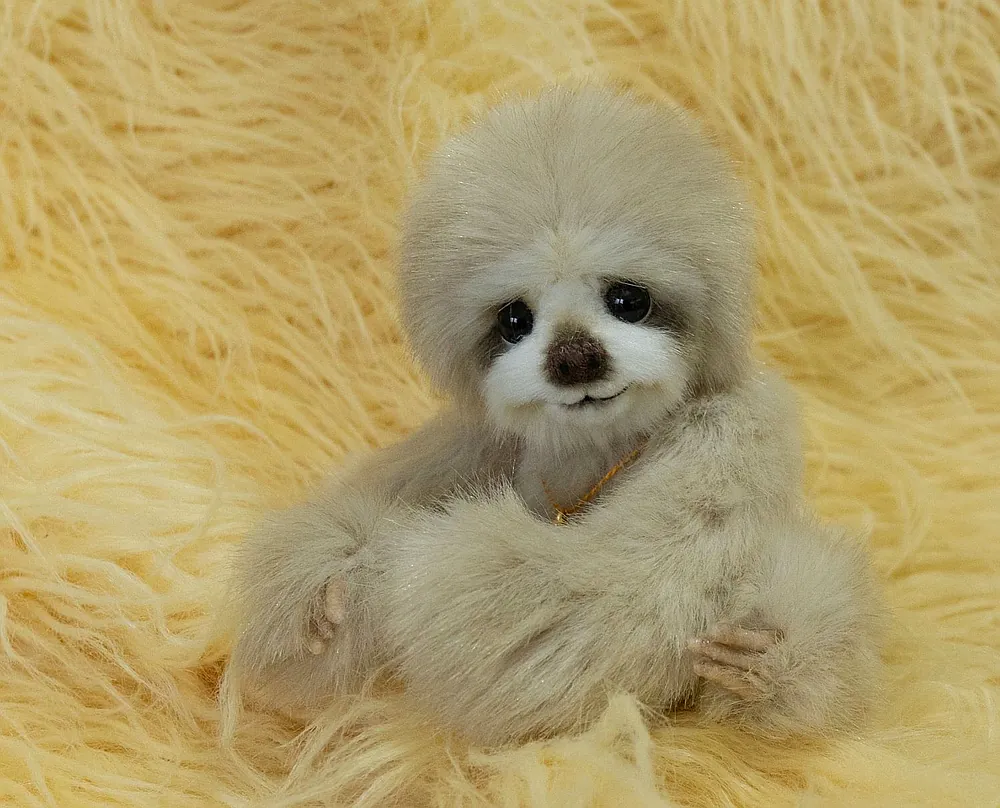 Sonrisa Sloth by Jo Symon - Joxy Bears - Bear Pile