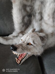 Toys_From_Elena - Artist Bears and Handmade Bears