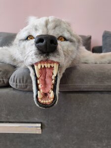 Toys_From_Elena - Artist Bears and Handmade Bears