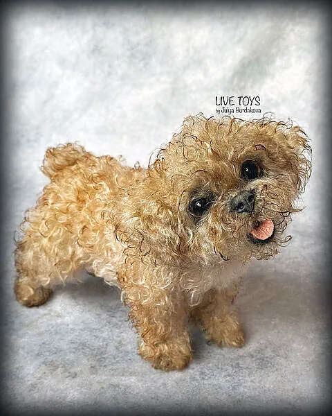 Susan by Julya Burdakova - Bear Pile