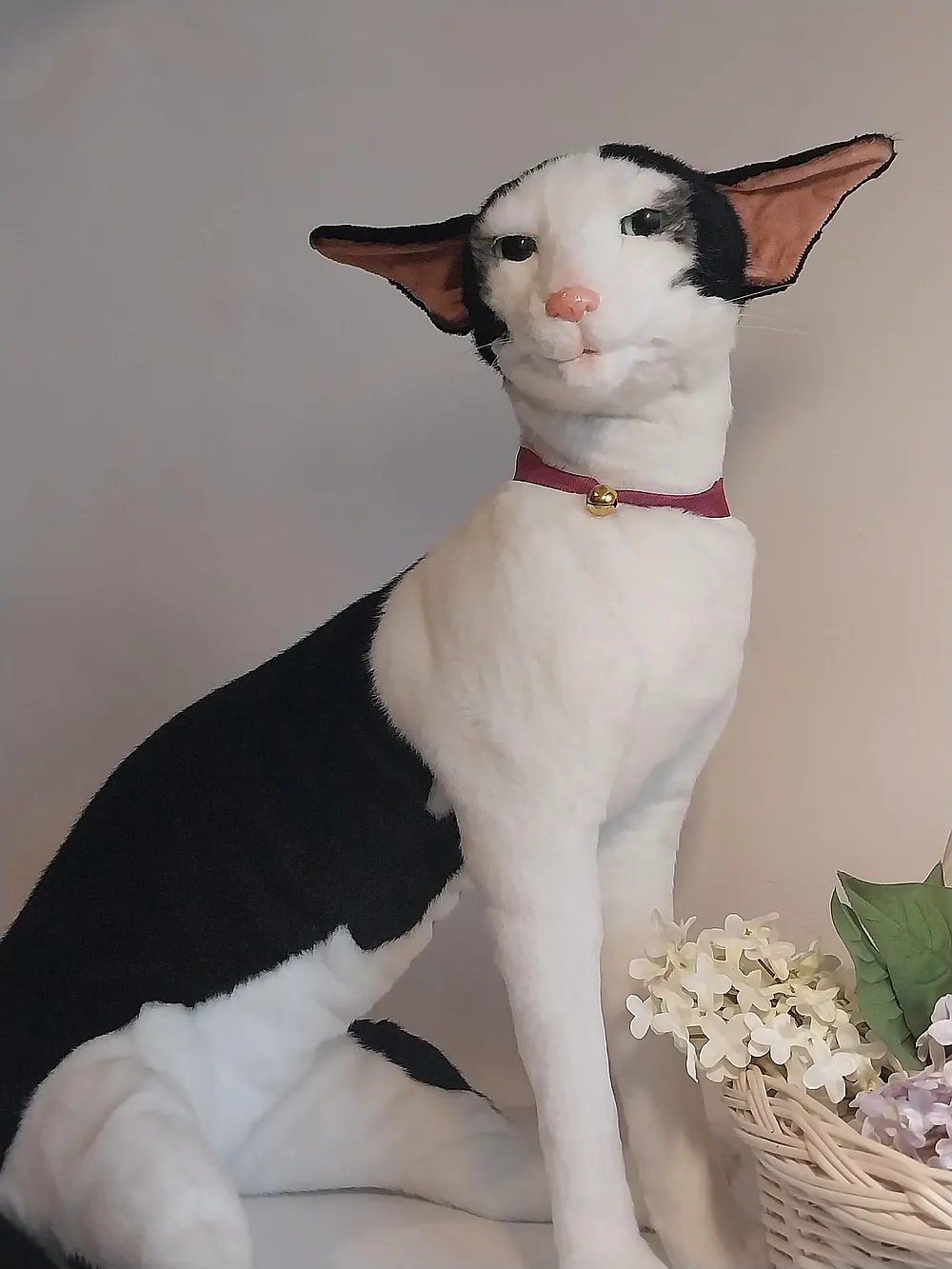 Glamour by Olena Batii - Bear Pile